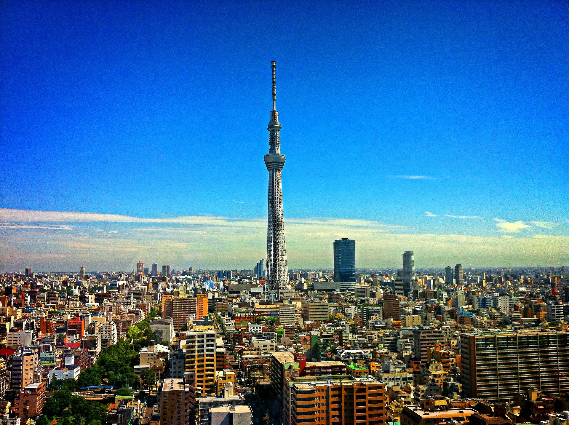 Barrios de Tokio que debes visitar - Vacaciones en Asia